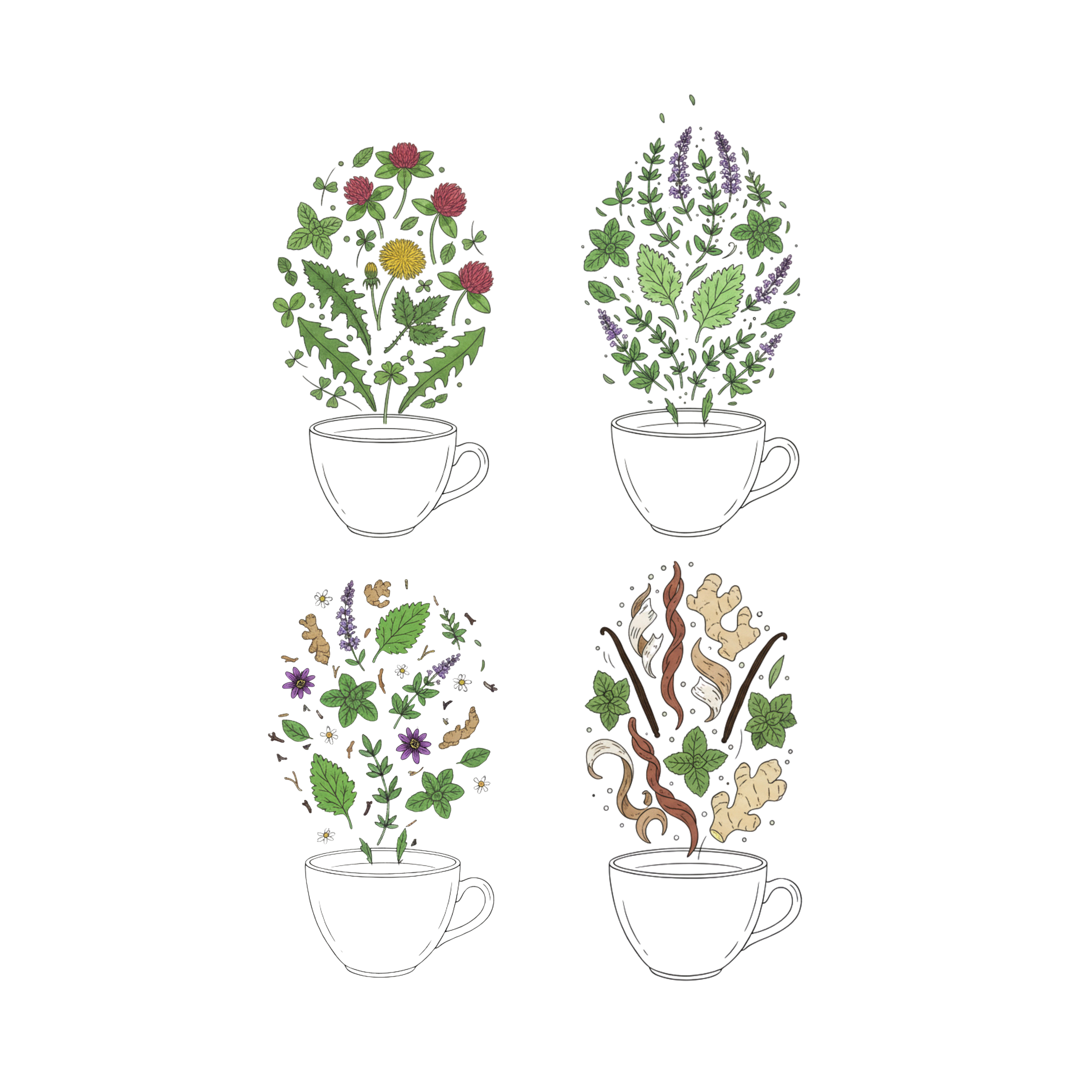 Herbal Tea Flight – Misana Tea